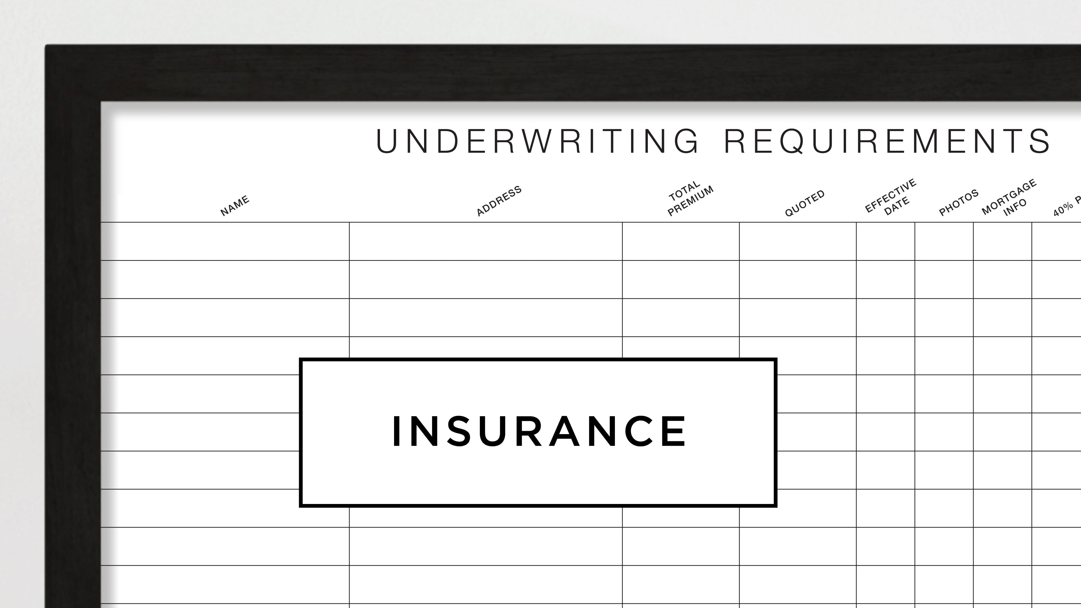 Insurance – Girl Friday
